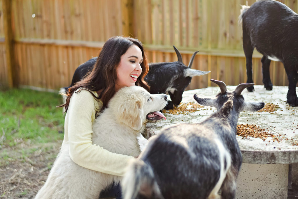 10 Frequently Asked Goat Questions | Moderately High Maintenance