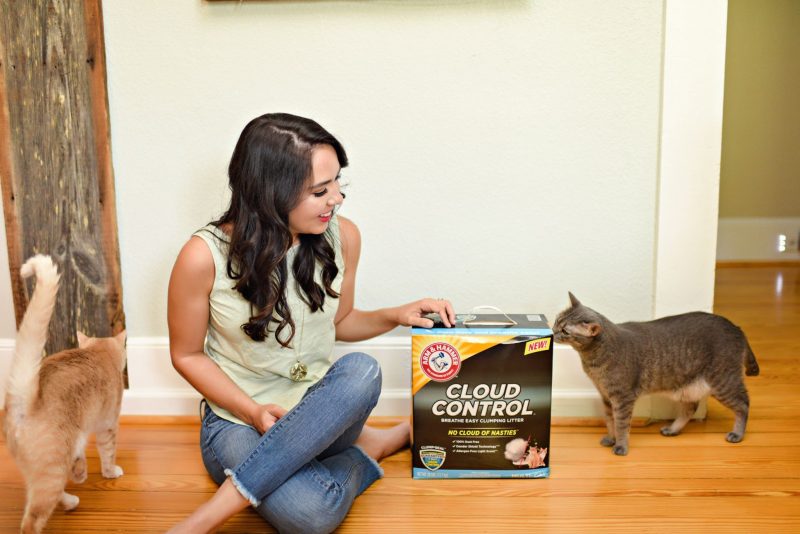 How to Keep Your House Clean with Cats | Moderately High Maintenance